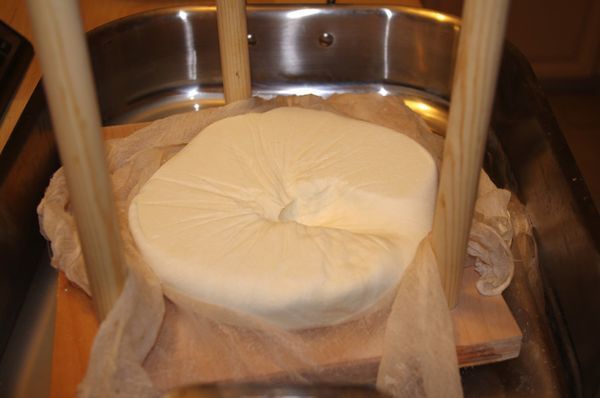 The Making Of: Gouda Cheese - steamWiki